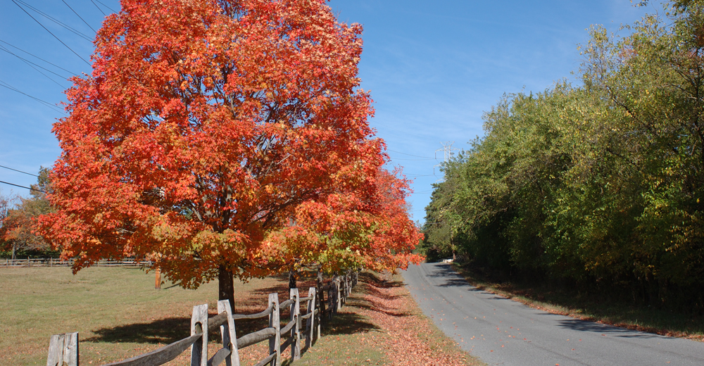 Fall in the Skylands Region | VisitNJ.org