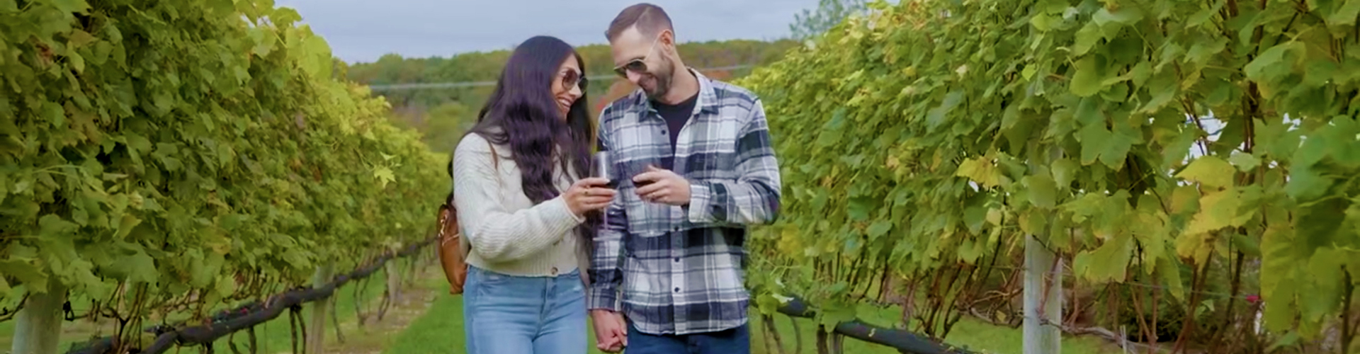 Wineries & Vineyards in New Jersey | VisitNJ.org