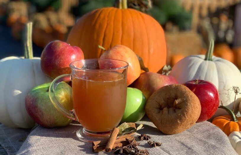 NJ Fall Farms and Gardens: Autumn Adventures Await | VisitNJ.org
