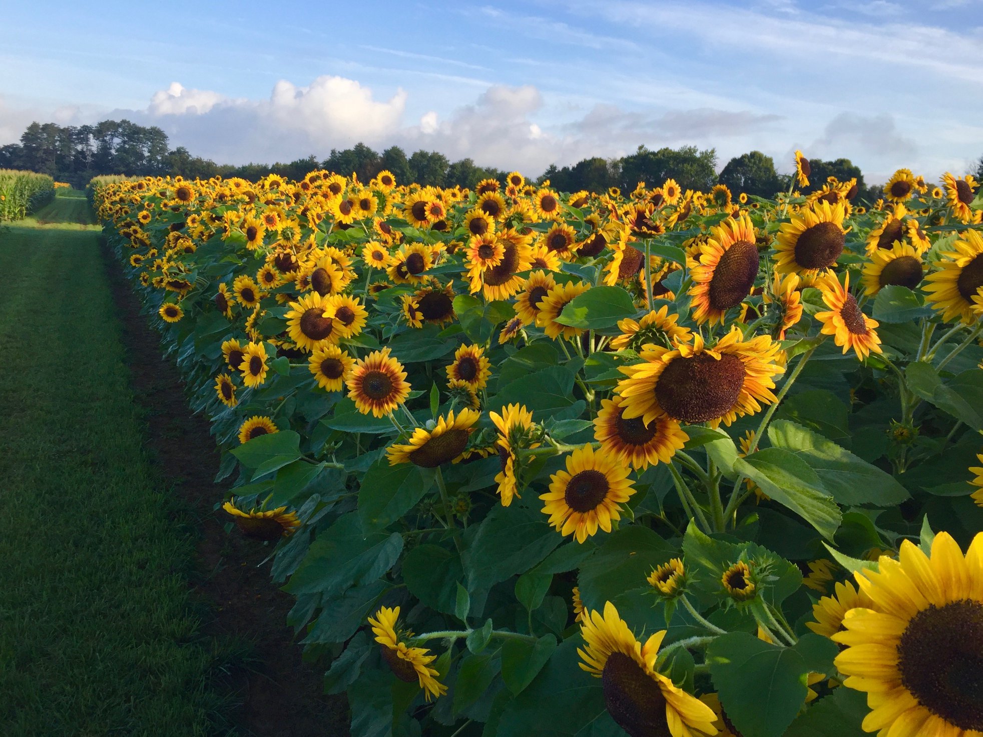 Holland Ridge Farms | VisitNJ.org
