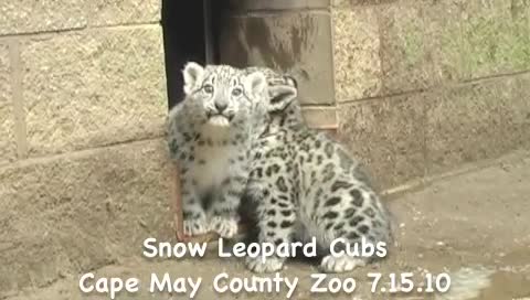 Cape May County Park & Zoo | VisitNJ.org