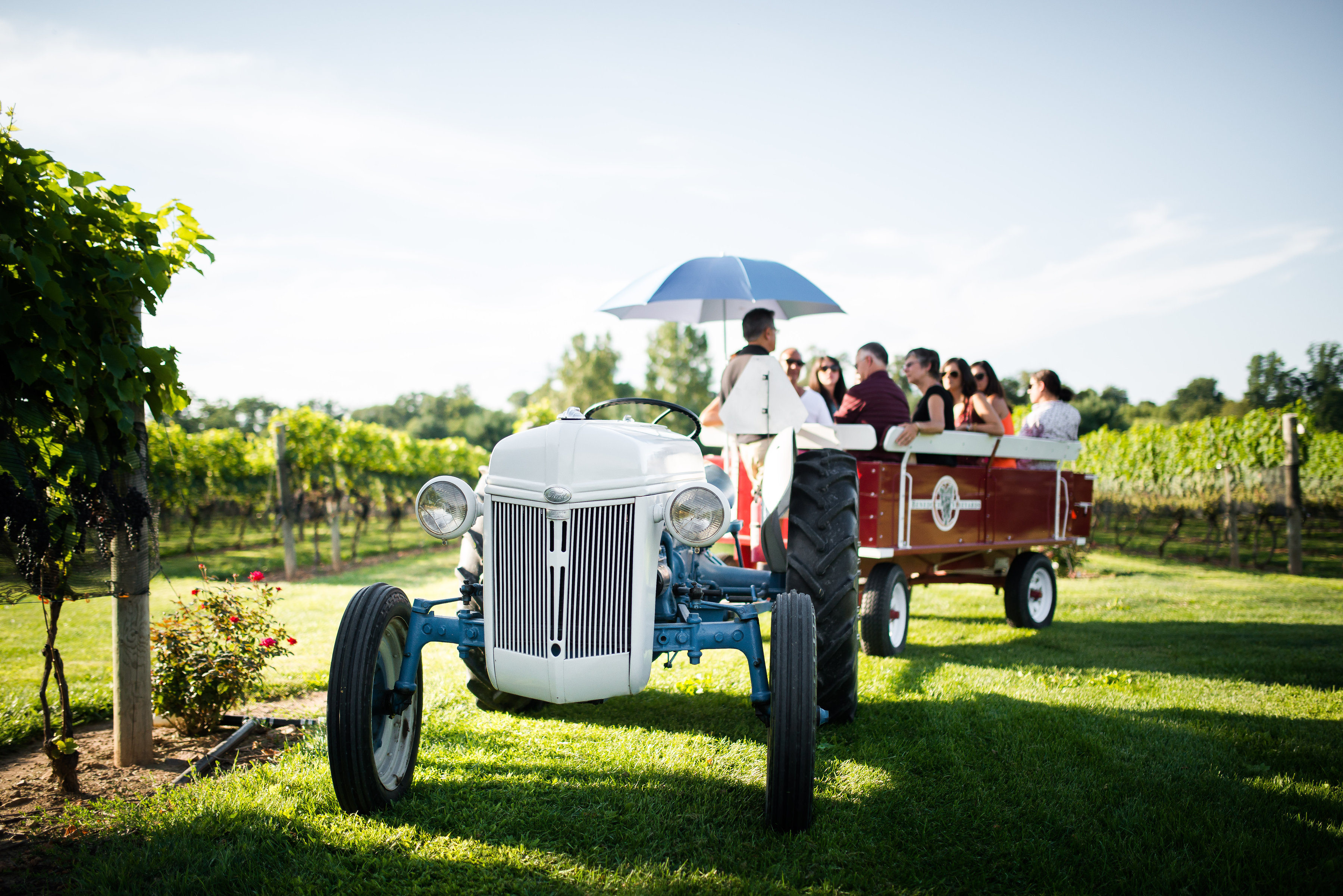 Beneduce Vineyards | VisitNJ.org