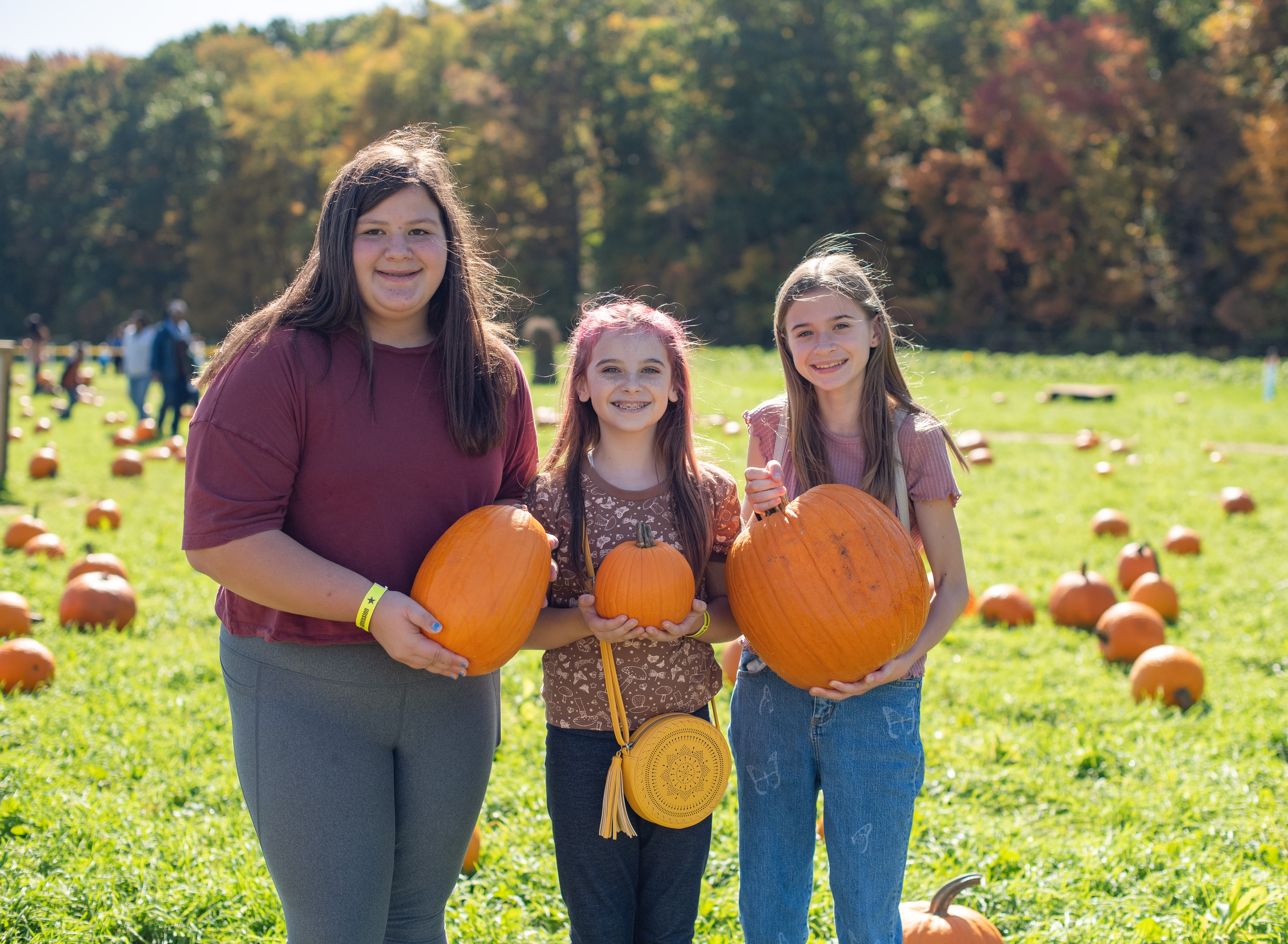 Von Thun Farms | VisitNJ.org