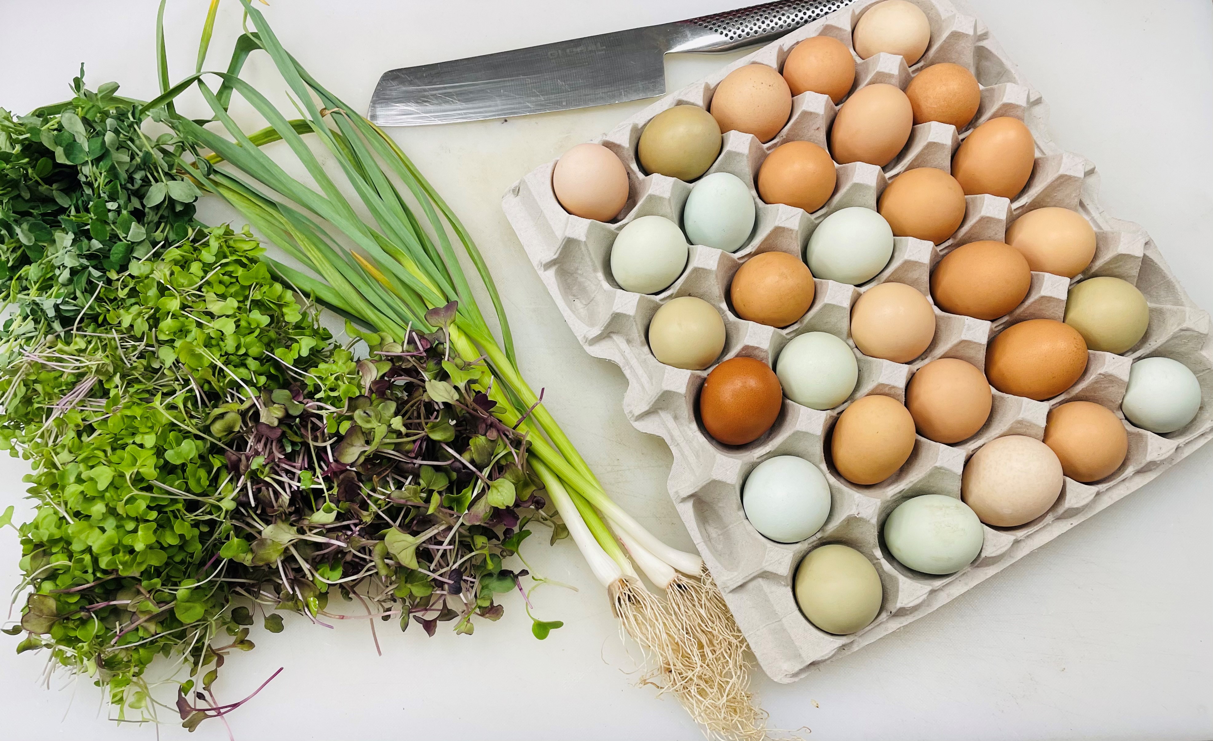 Hawk Ridge Farm | VisitNJ.org