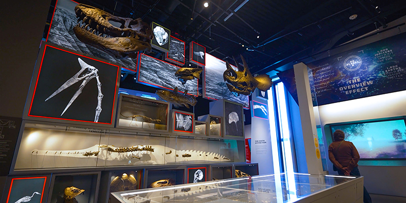 Plan To Visit Edelman Fossil Park & Museum|VisitNJ.org