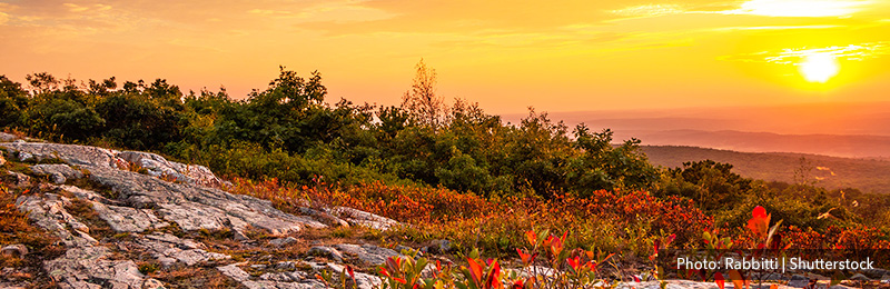 Beyond the Turnpike: Your Guide to New Jersey’s Many Natural Wonders ...
