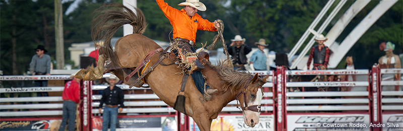 Things to Do in New Jersey in August - 2025 | VisitNJ.org