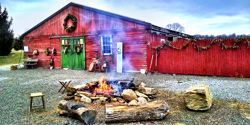 Best Christmas Tree Farms in New Jersey | VisitNJ.org