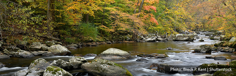 Beyond the Turnpike: Your Guide to New Jersey’s Many Natural Wonders ...