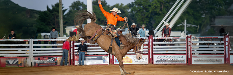 Things to Do in New Jersey in July — 2025 | VisitNJ.org