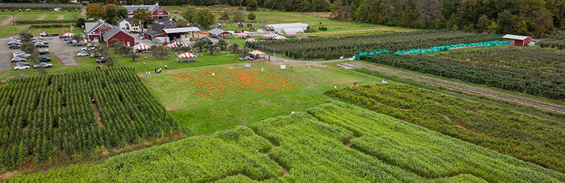 Pumpkin Patches in New Jersey: PYO, Hayrides & More Fall Fun | VisitNJ.org