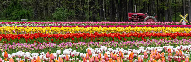 Weekend Getaways: Explore Southern New Jersey This Spring | VisitNJ.org