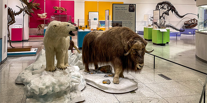 Explore New Jersey’s Accessible Museums | VisitNJ.org