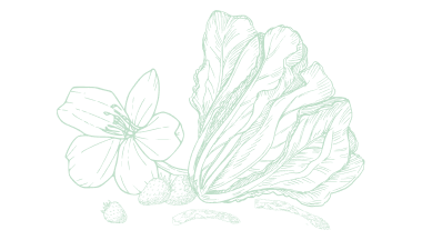 Gardens of the Garden State | VisitNJ.org