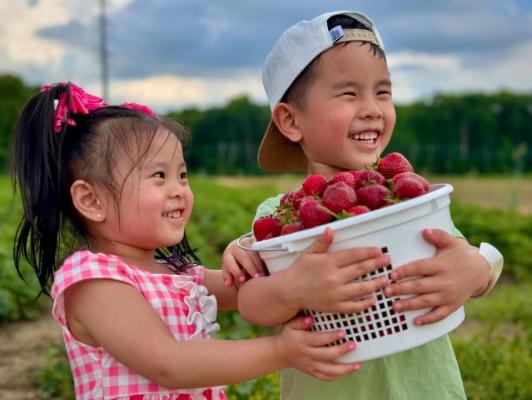 Von Thun Farms | VisitNJ.org