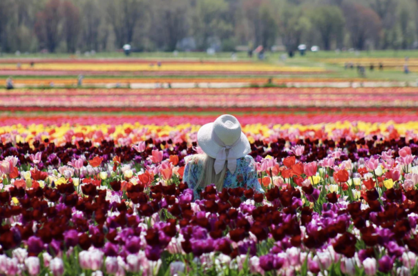 Holland Ridge Farms | VisitNJ.org