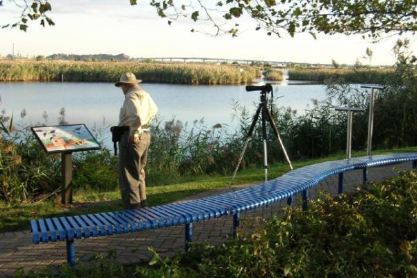 DeKorte Park | VisitNJ.org