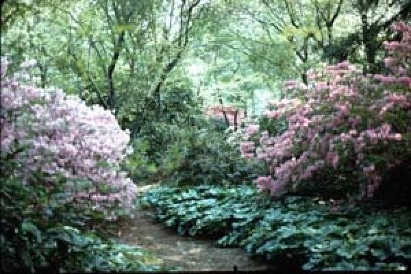 Rutgers Gardens | VisitNJ.org