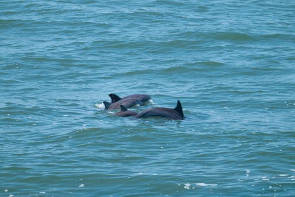 New Jersey Trip Planner | VisitNJ.org