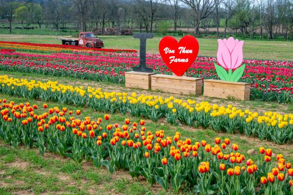 Von Thun Farms | VisitNJ.org