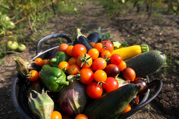Hawk Ridge Farm | VisitNJ.org